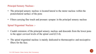 TRIGEMINAL NERVE/Neuralgia/5th cranial nerve | PDF