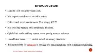 TRIGEMINAL NERVE/Neuralgia/5th cranial nerve | PPT