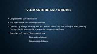 powerpoint presentation on Trigeminal nerve | PPTX