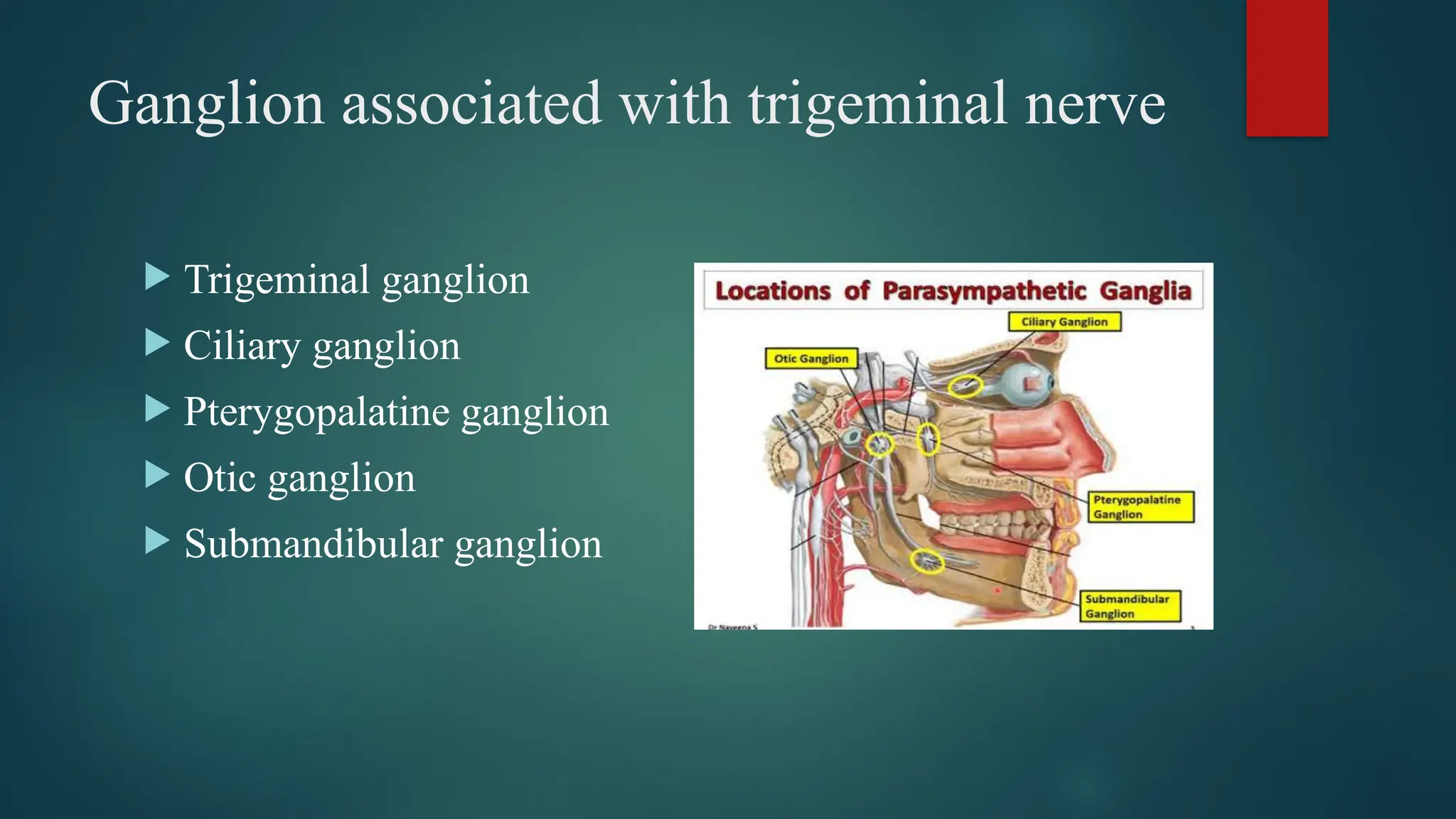 Anatomy and functions of trigeminal nerve.pptx