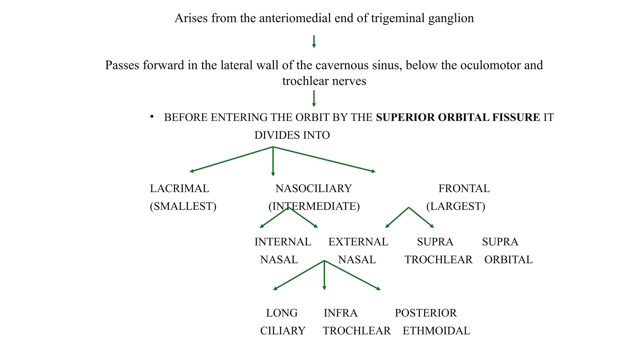TRIGEMINAL NERVE - FIFTH CRANIAL NERVE.pptx