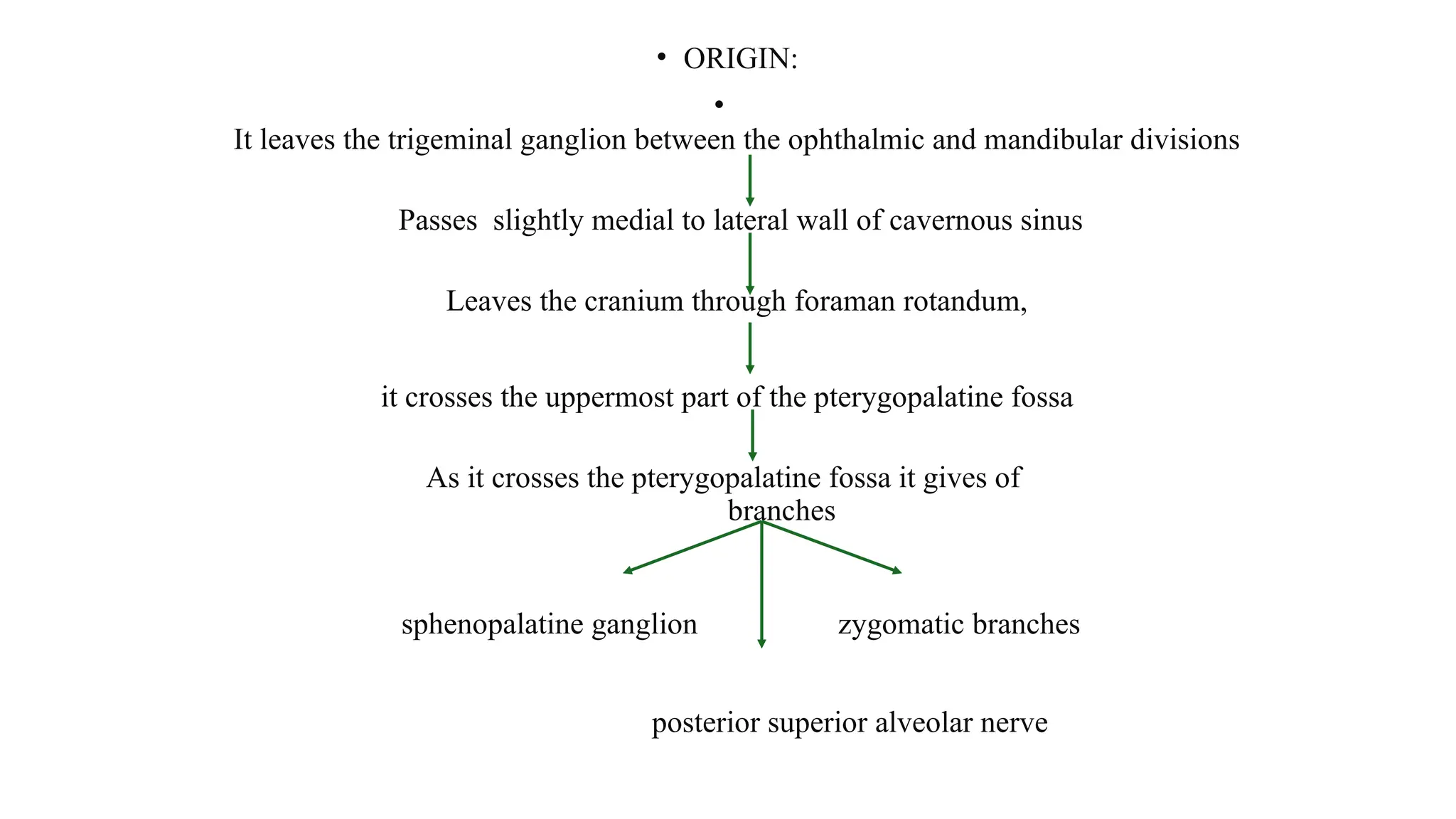TRIGEMINAL NERVE - FIFTH CRANIAL NERVE.pptx