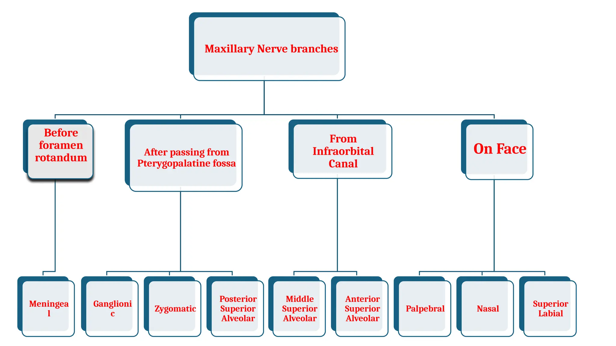 TRIGEMINAL NERVE - FIFTH CRANIAL NERVE.pptx