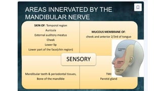 TRIGEMINAL NERVE - FIFTH CRANIAL NERVE.pptx