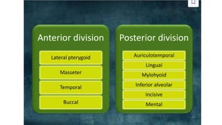 TRIGEMINAL NERVE - FIFTH CRANIAL NERVE.pptx