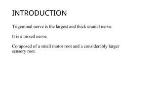 TRIGEMINAL NERVE - FIFTH CRANIAL NERVE.pptx