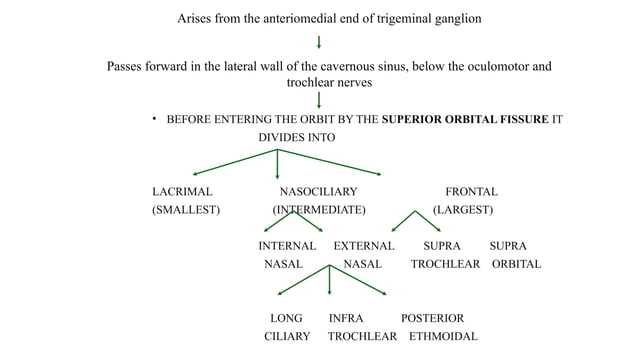 TRIGEMINAL NERVE - FIFTH CRANIAL NERVE.pptx
