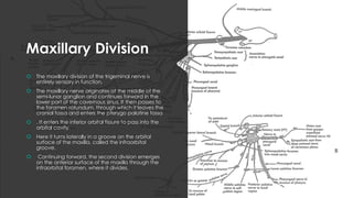 Trigeminal Nerve physiology and pathology | PDF
