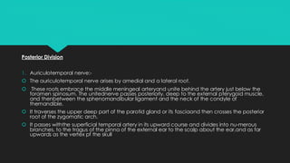 Trigeminal Nerve physiology and pathology | PDF