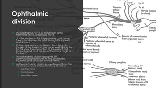 Trigeminal Nerve physiology and pathology | PDF