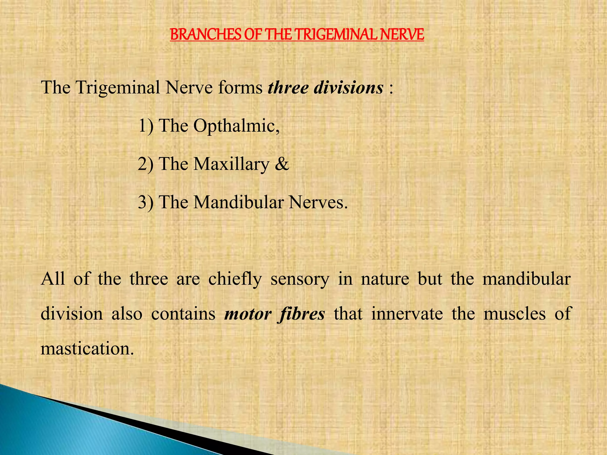Trigeminal nerve- anatomy | PPTX