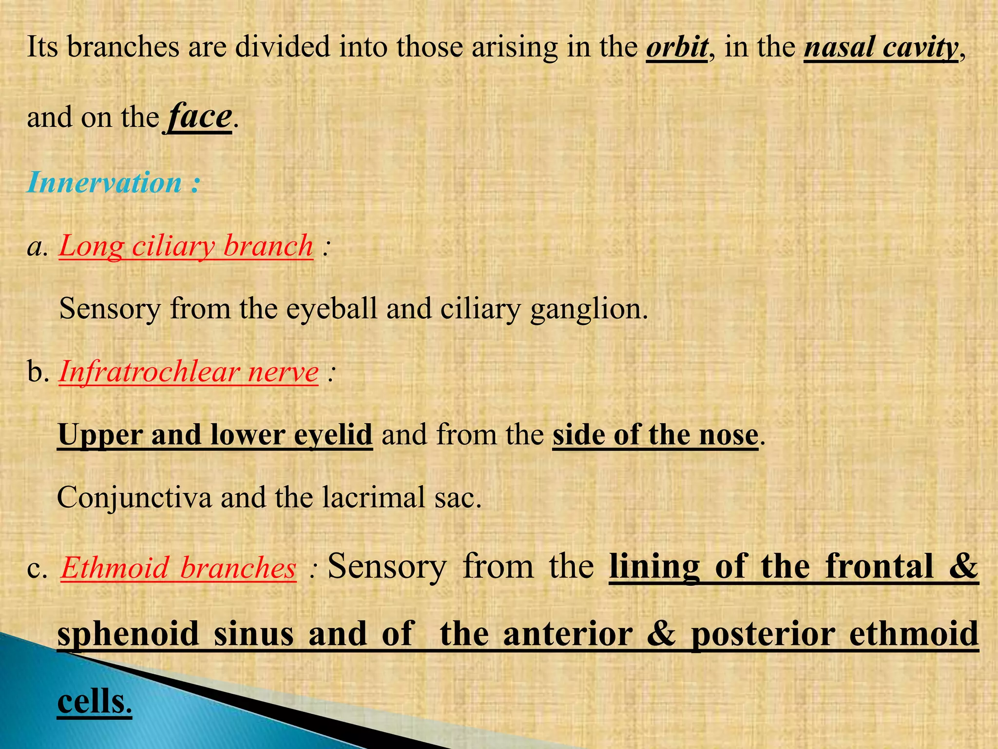 Trigeminal nerve- anatomy | PPTX