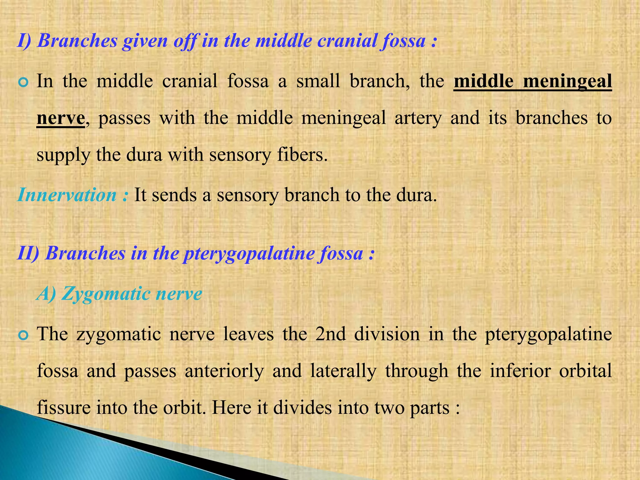 Trigeminal nerve- anatomy | PPTX