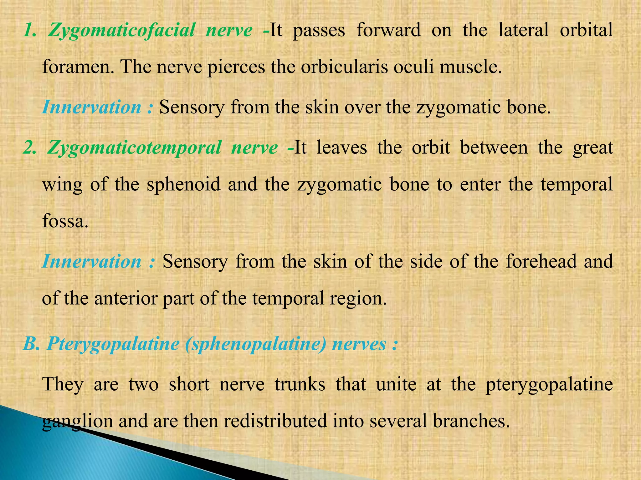 Trigeminal nerve- anatomy | PPTX