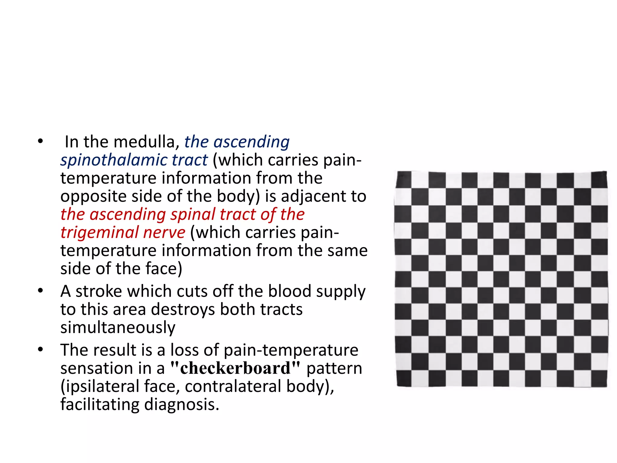 Trigeminal nerve applied anatomy(part 2) | PPTX