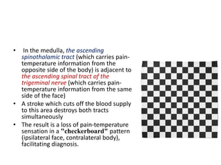 Trigeminal nerve applied anatomy(part 2) | PPT