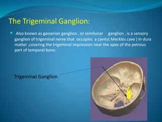 Trigeminal nerve | PPTX
