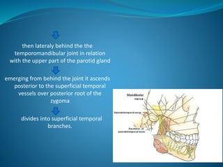 Trigeminal nerve | PPTX