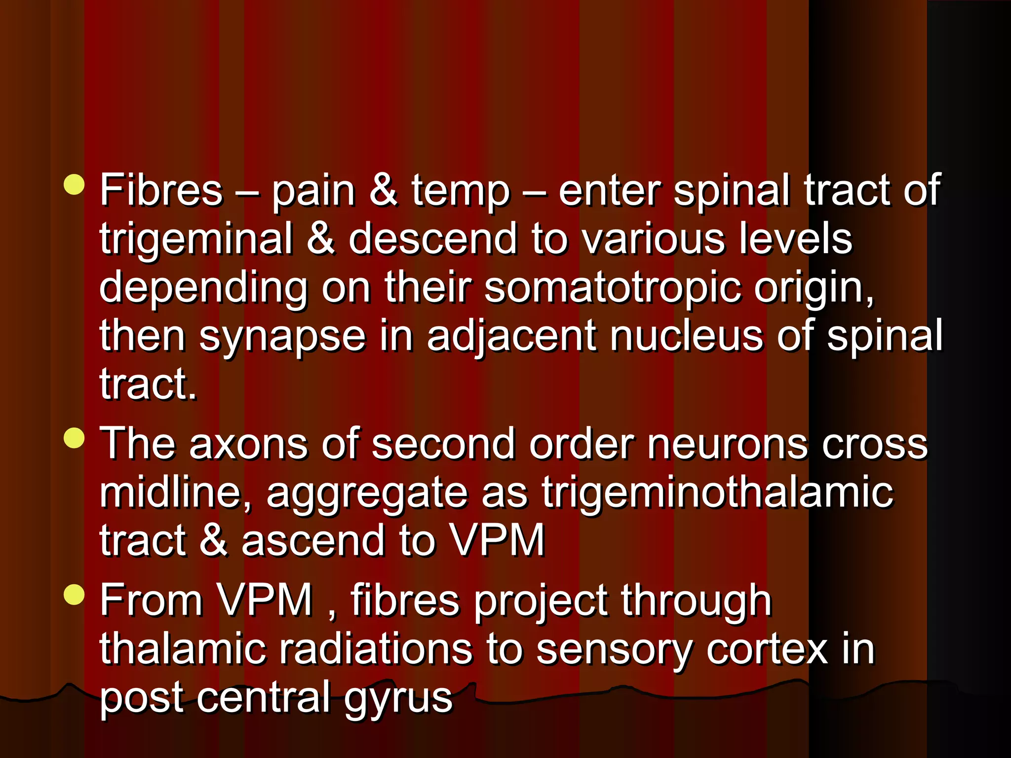 Trigeminal nerve dr. gosai | PPT