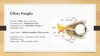 Trigeminal Nerve - Origin, course & applied aspects | PPTX