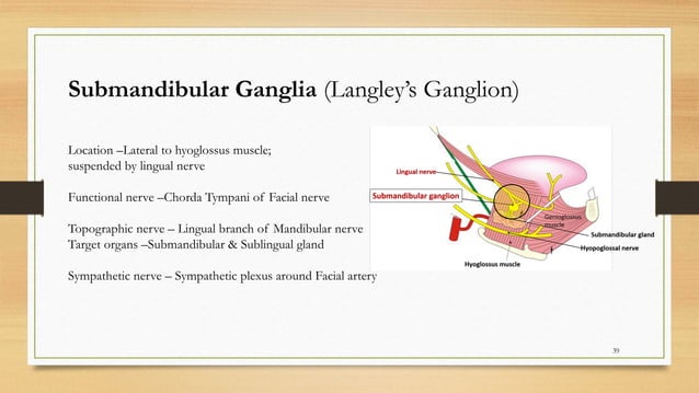 Trigeminal Nerve - Origin, course & applied aspects | PPT
