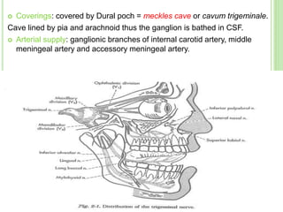 Trigeminal nerve (1) | PPTX