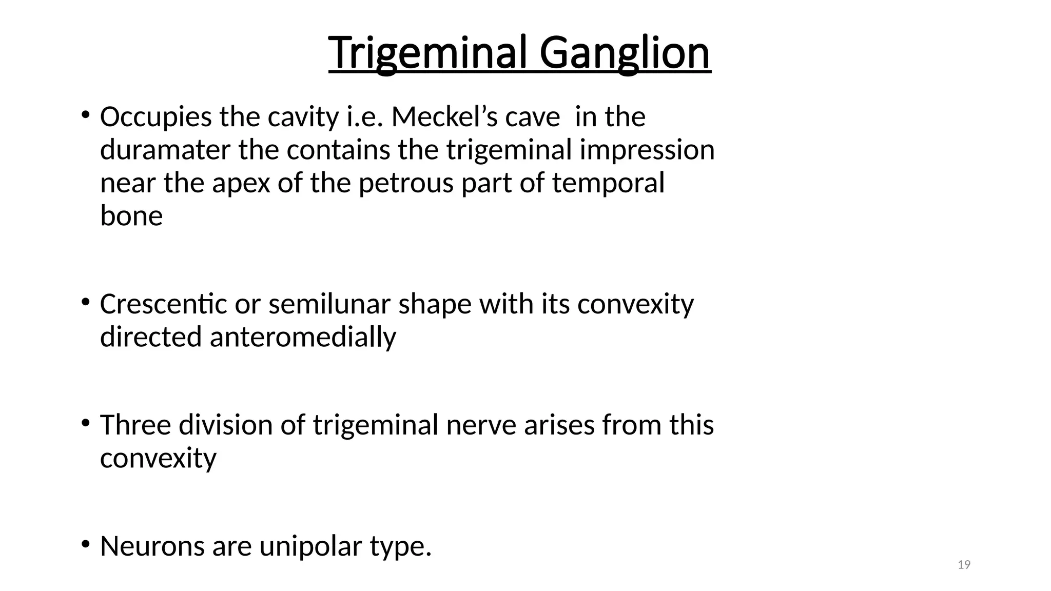 Trigeminal Nerve and its applied anatomy in dentistry | PPTX