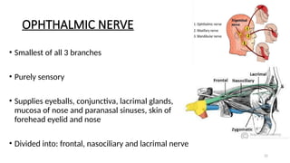 Trigeminal Nerve and its applied aspects | PPTX
