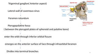 Trigeminal Nerve and its applied aspects | PPTX
