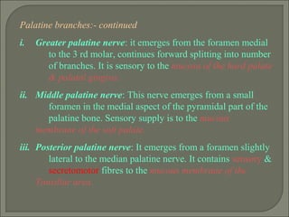 Trigeminal nerve and its applied anatomy | PPT