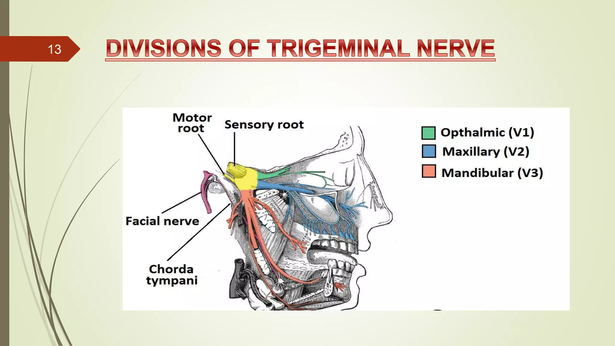 Trigeminal nerve & Applied Anatomy | PPTX
