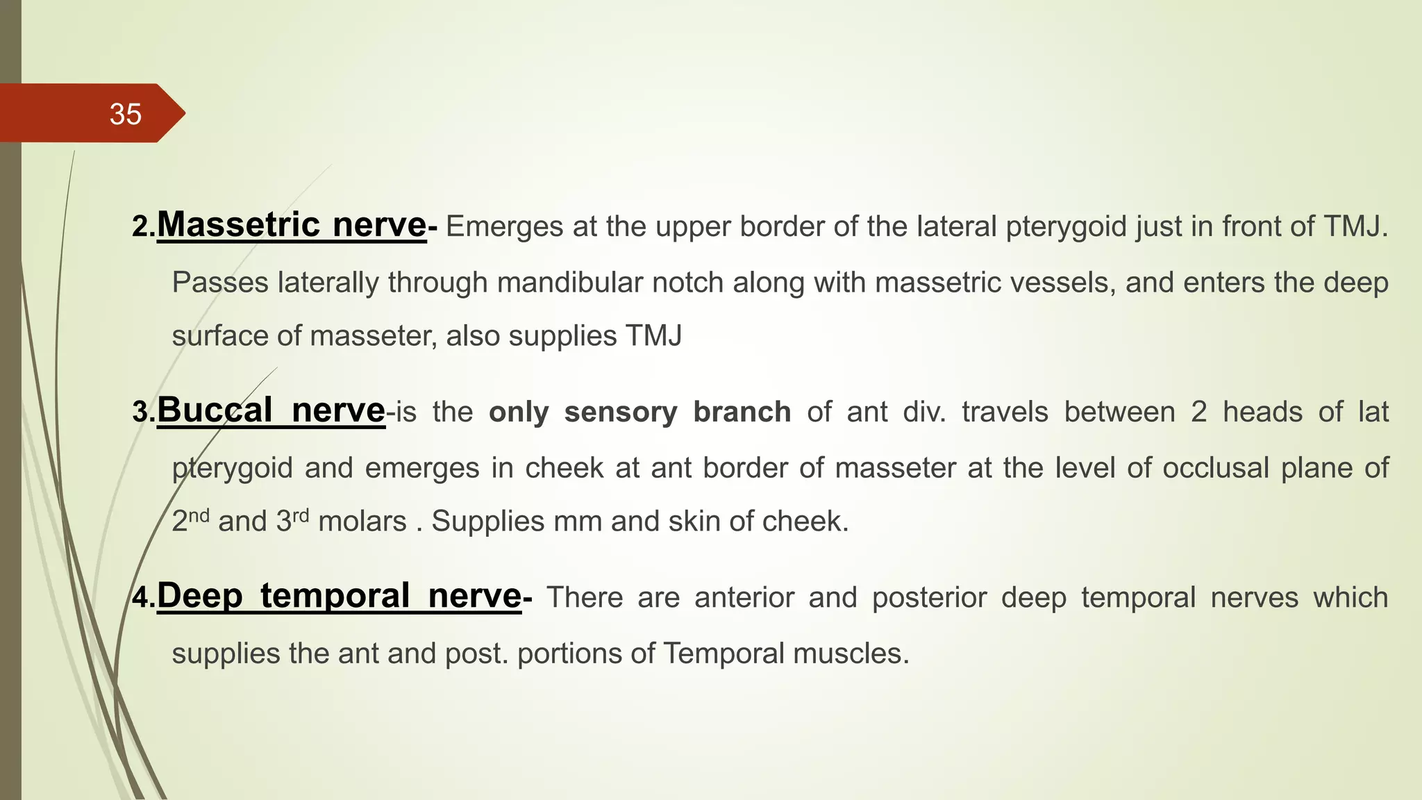 Trigeminal nerve & Applied Anatomy | PPTX