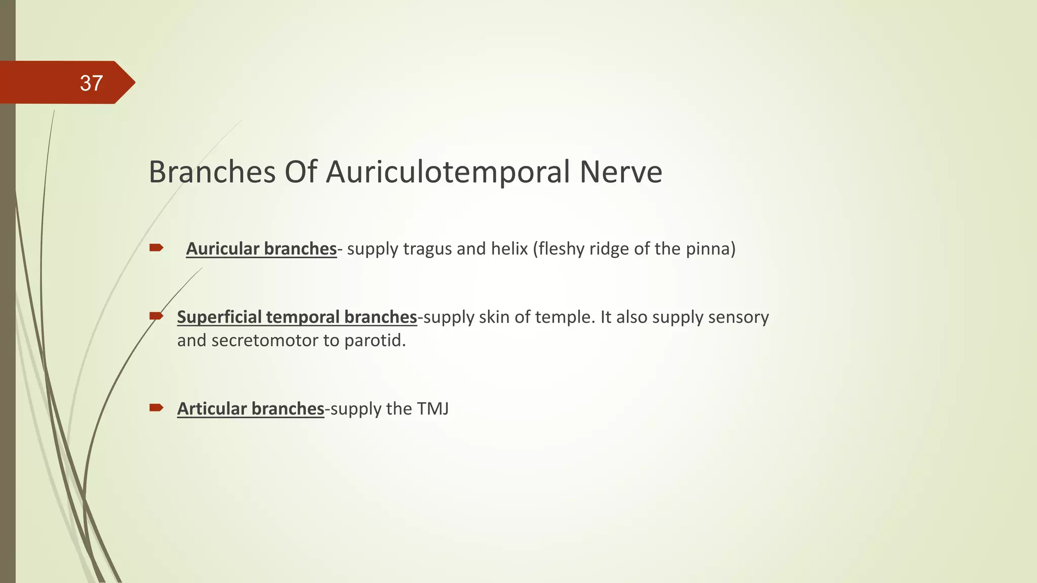 Trigeminal nerve & Applied Anatomy | PPTX