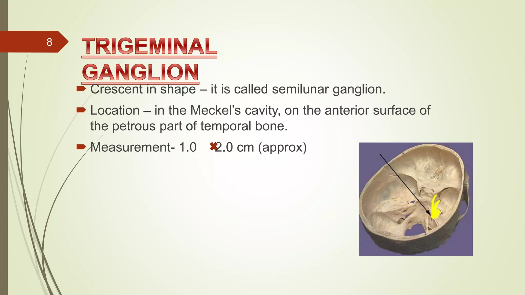 Trigeminal nerve & Applied Anatomy | PPTX
