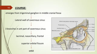 Trigeminal nerve & Applied Anatomy | PPTX