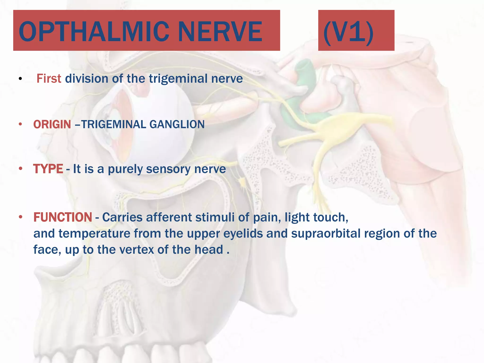 Trigeminal nerve | PPTX