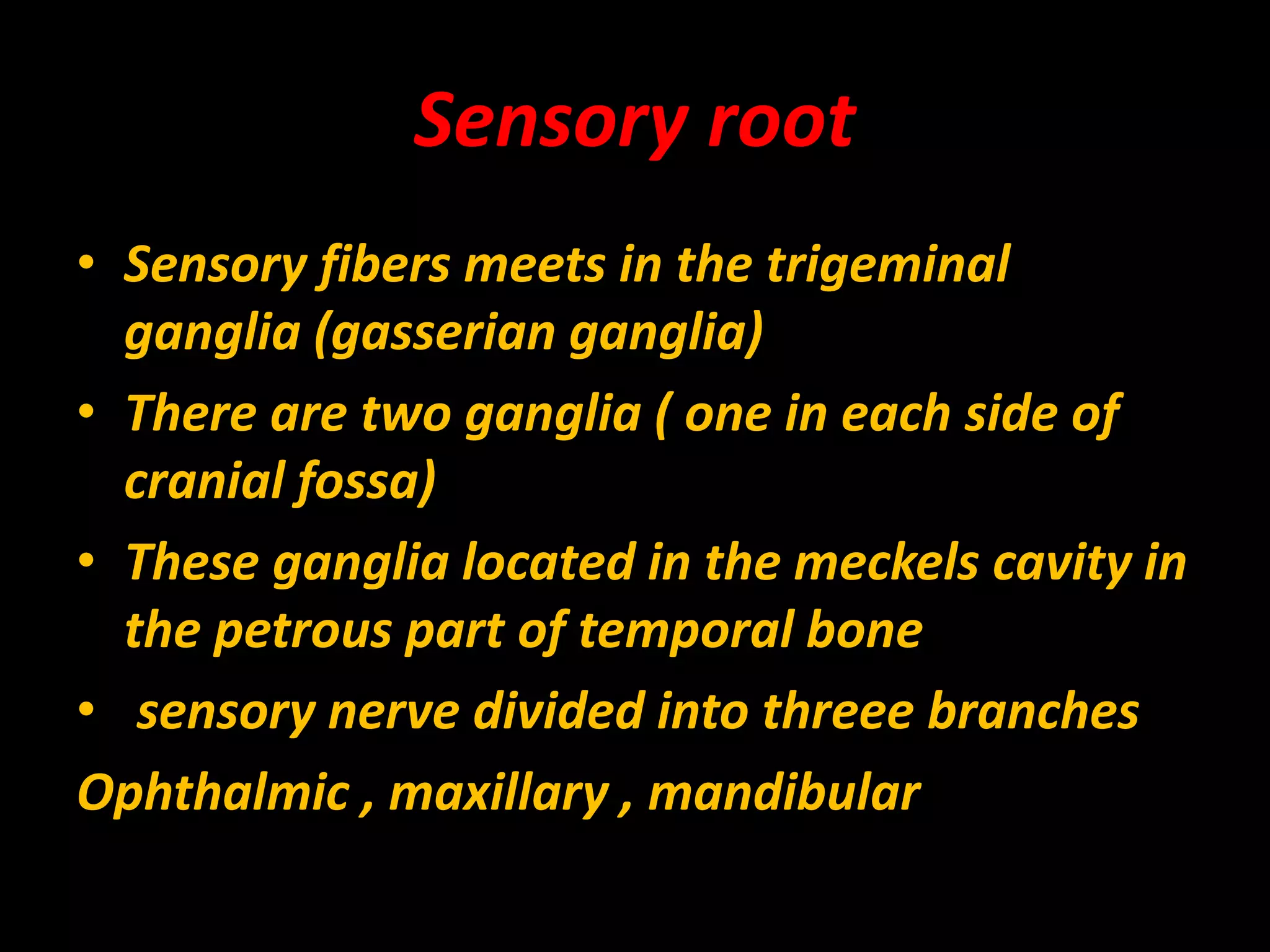 Trigeminal nerve anatomy | PPTX