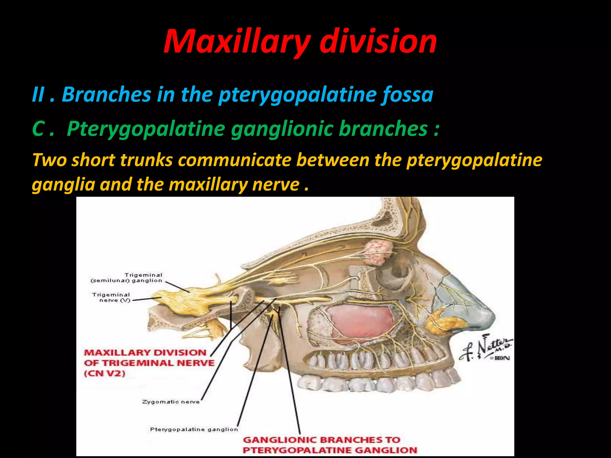 Trigeminal nerve anatomy | PPTX