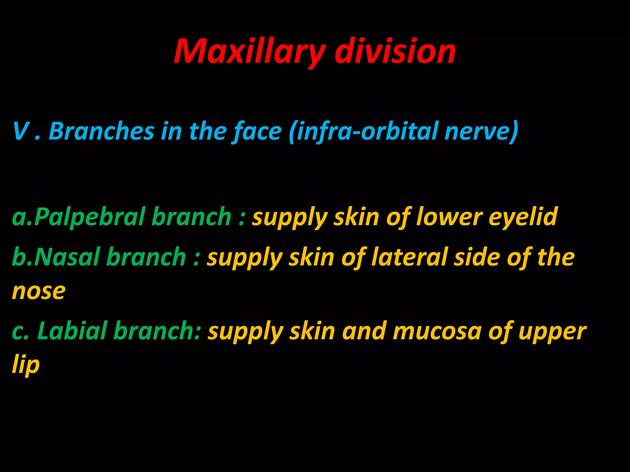 Trigeminal nerve anatomy | PPTX