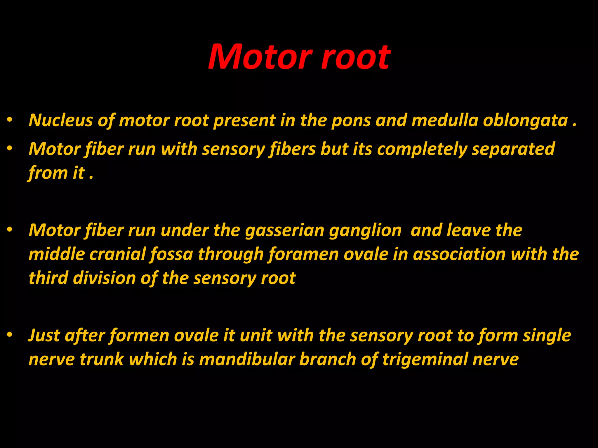 Trigeminal nerve anatomy | PPTX