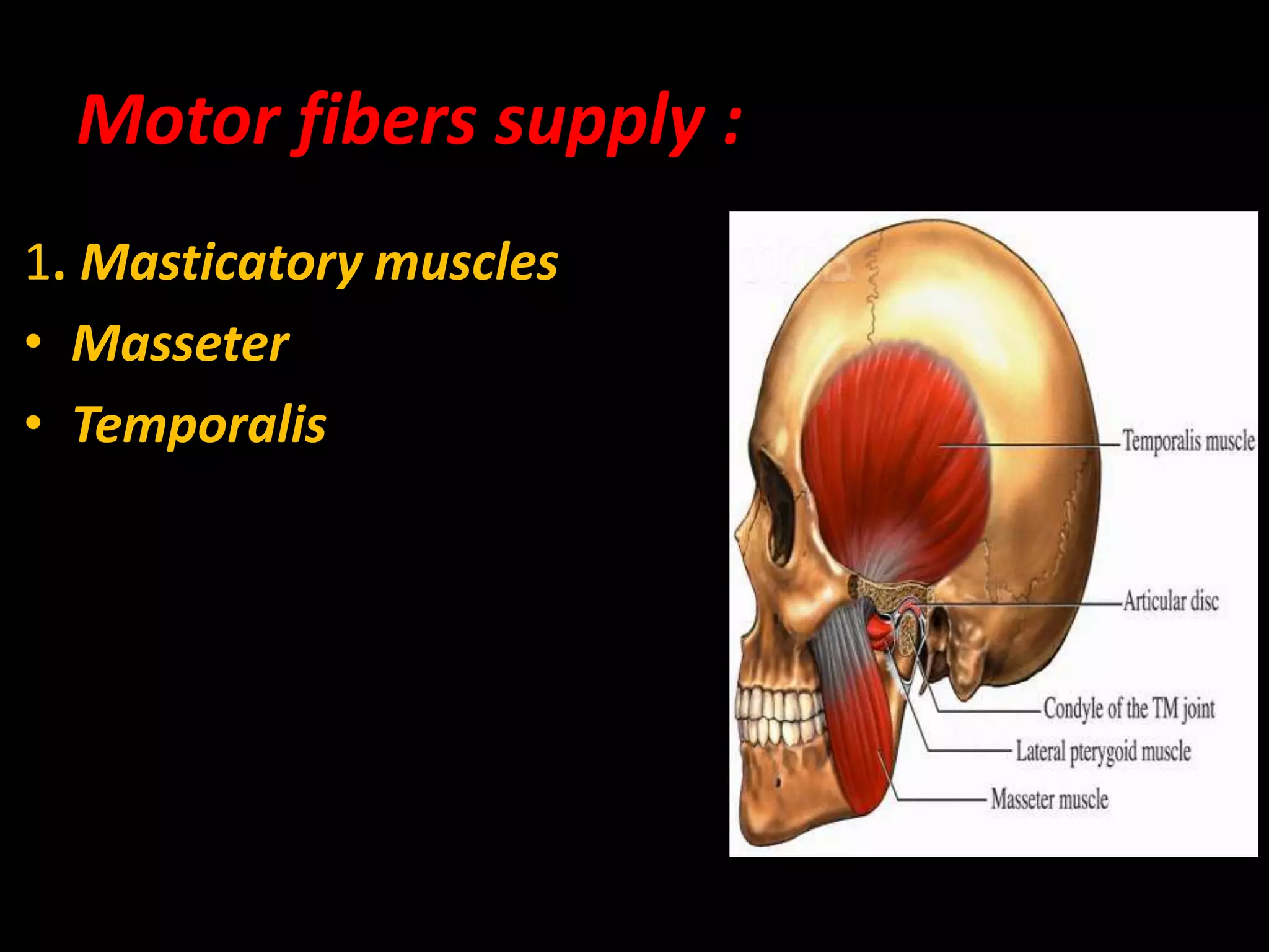 Trigeminal nerve anatomy | PPTX