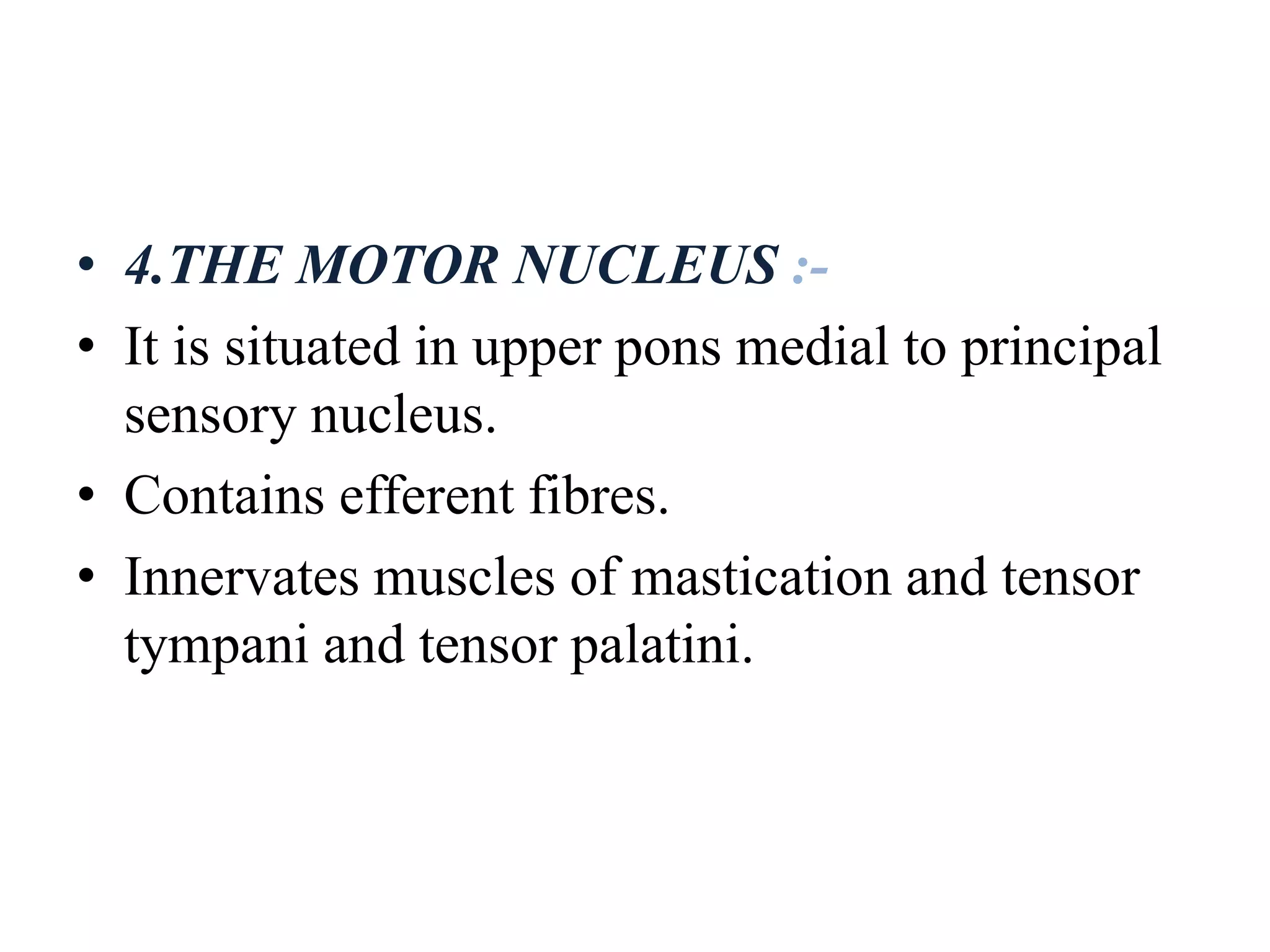 Trigeminal nerve and its applied anatomy | PPTX