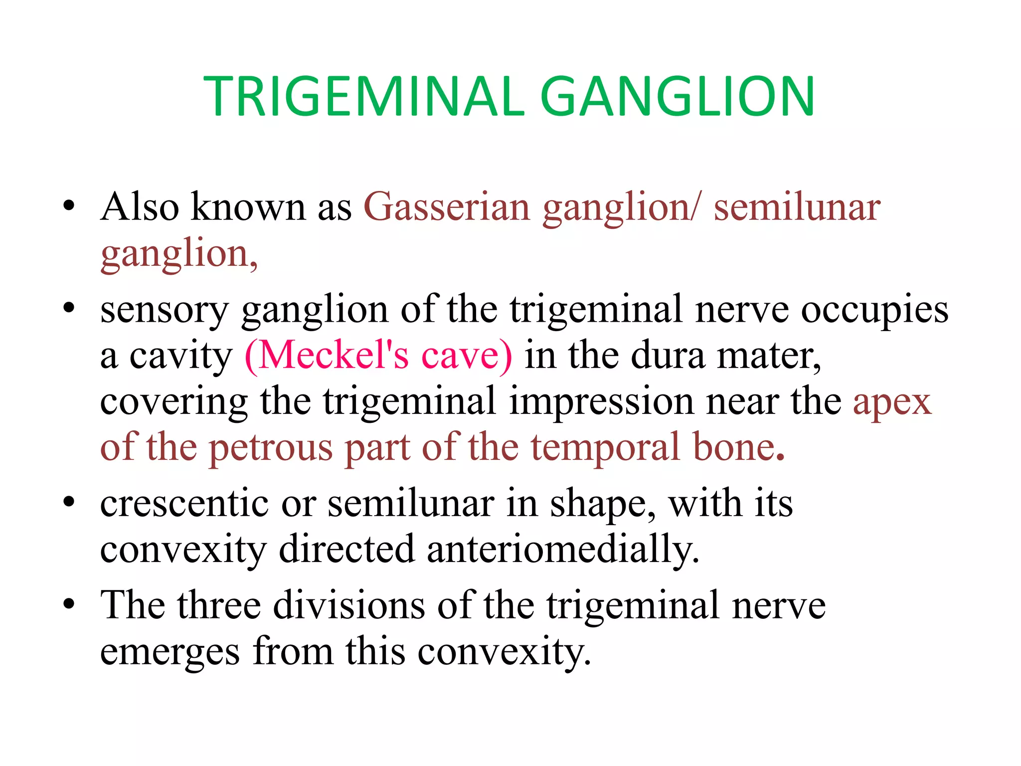 Trigeminal nerve and its applied anatomy | PPTX