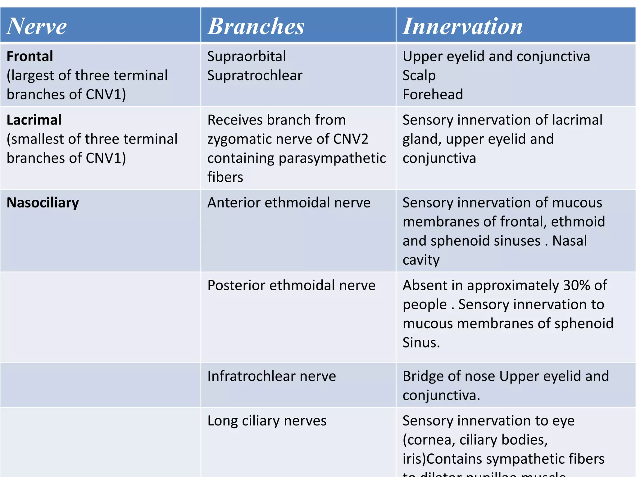 Trigeminal nerve and its applied anatomy | PPTX