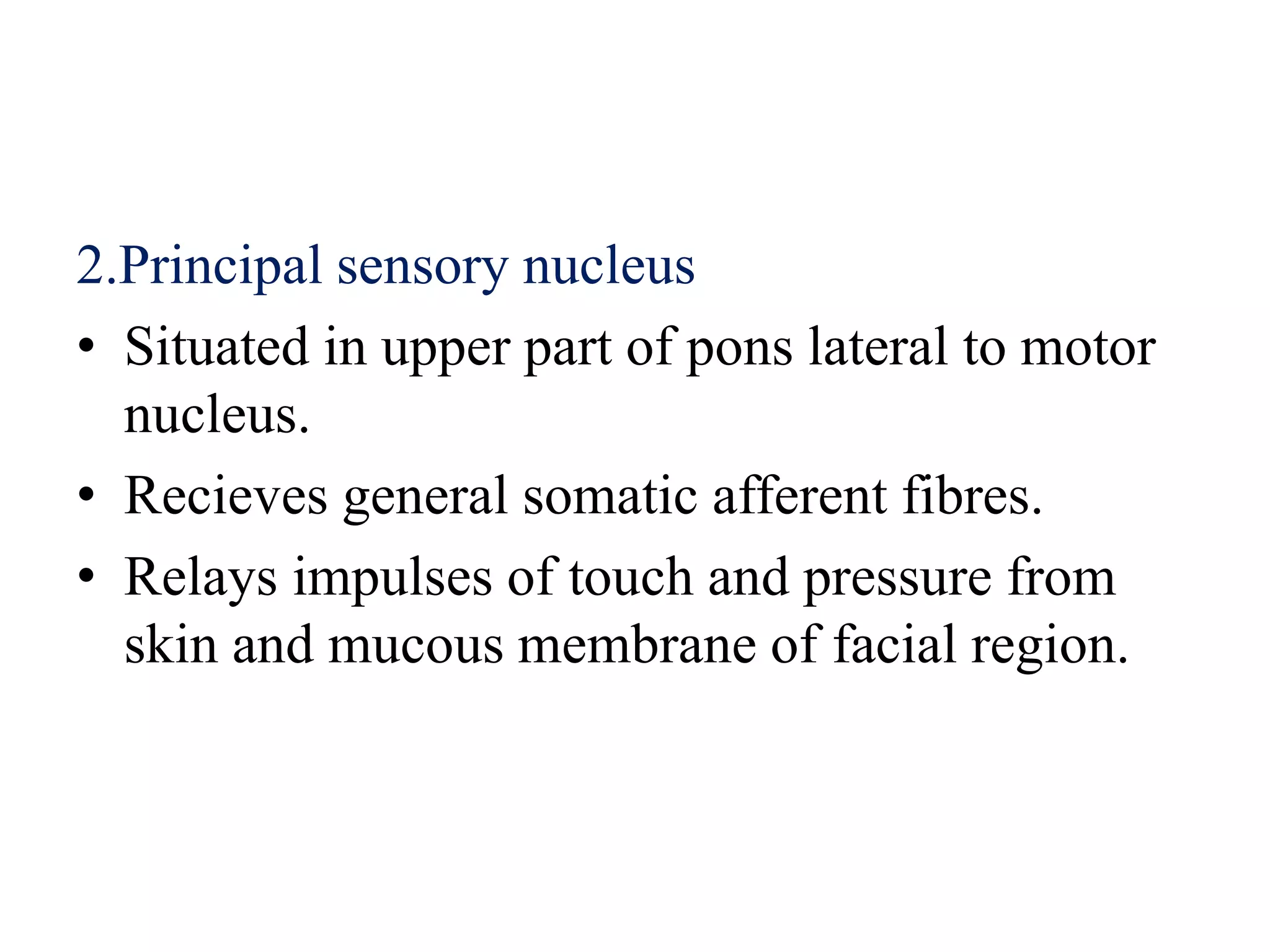Trigeminal nerve and its applied anatomy | PPTX