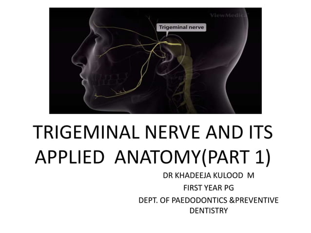 Trigeminal nerve and its applied anatomy | PPTX | Ear, Nose and Throat ...
