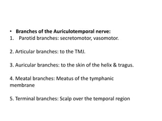 Trigeminal nerve and its applied anatomy | PPTX