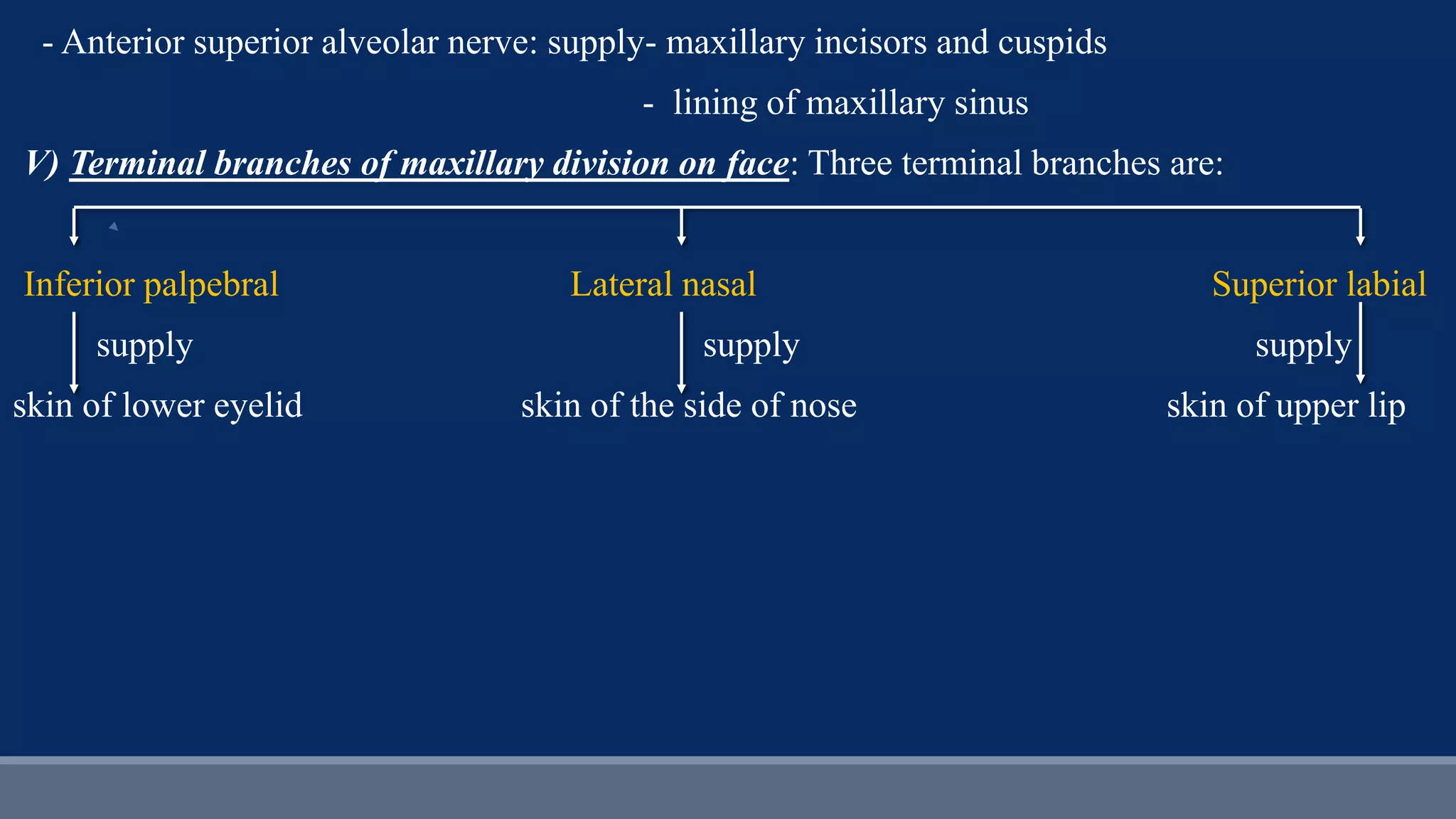 TRIGEMINAL NERVE AR.pptx