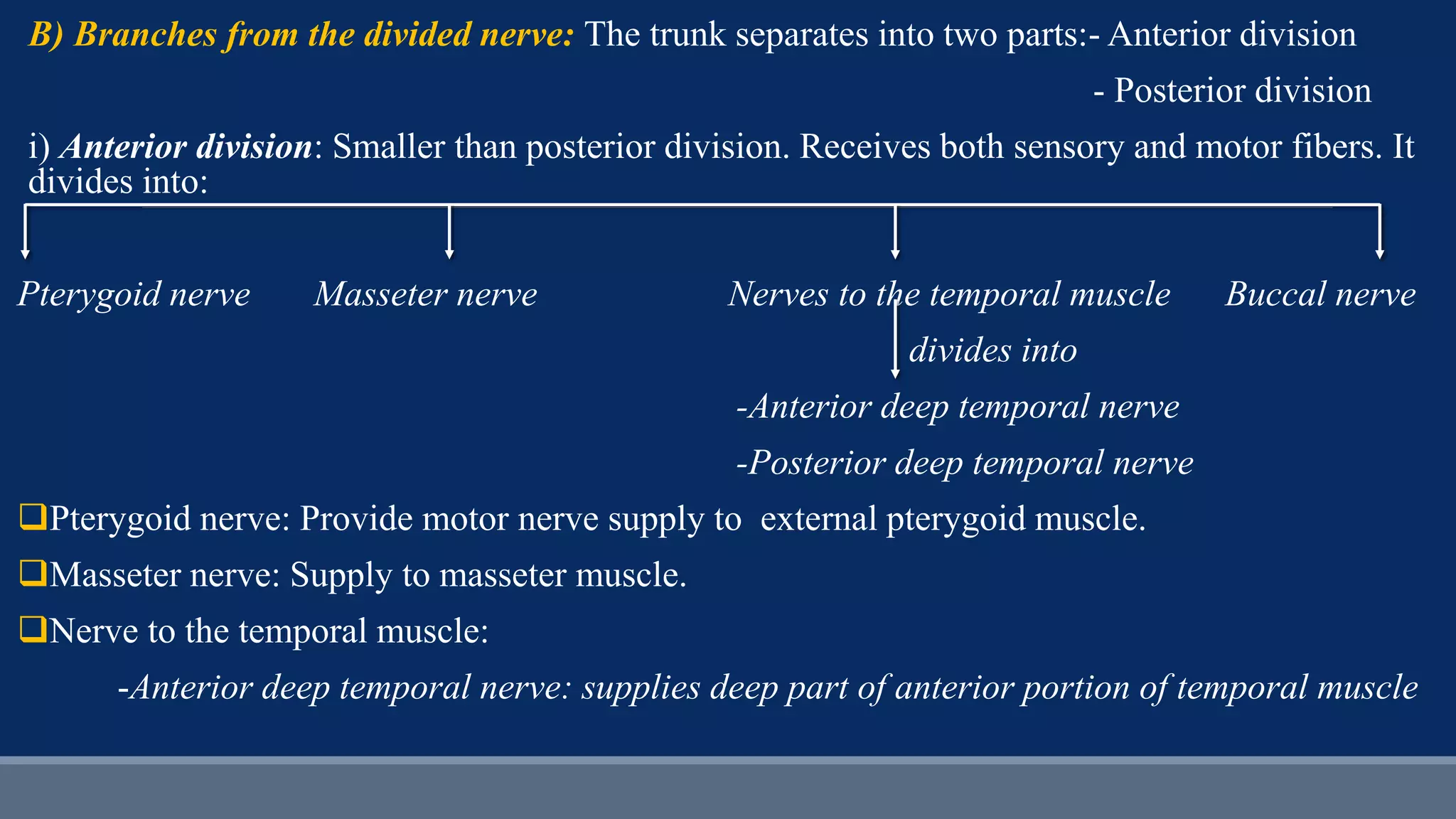 TRIGEMINAL NERVE AR.pptx