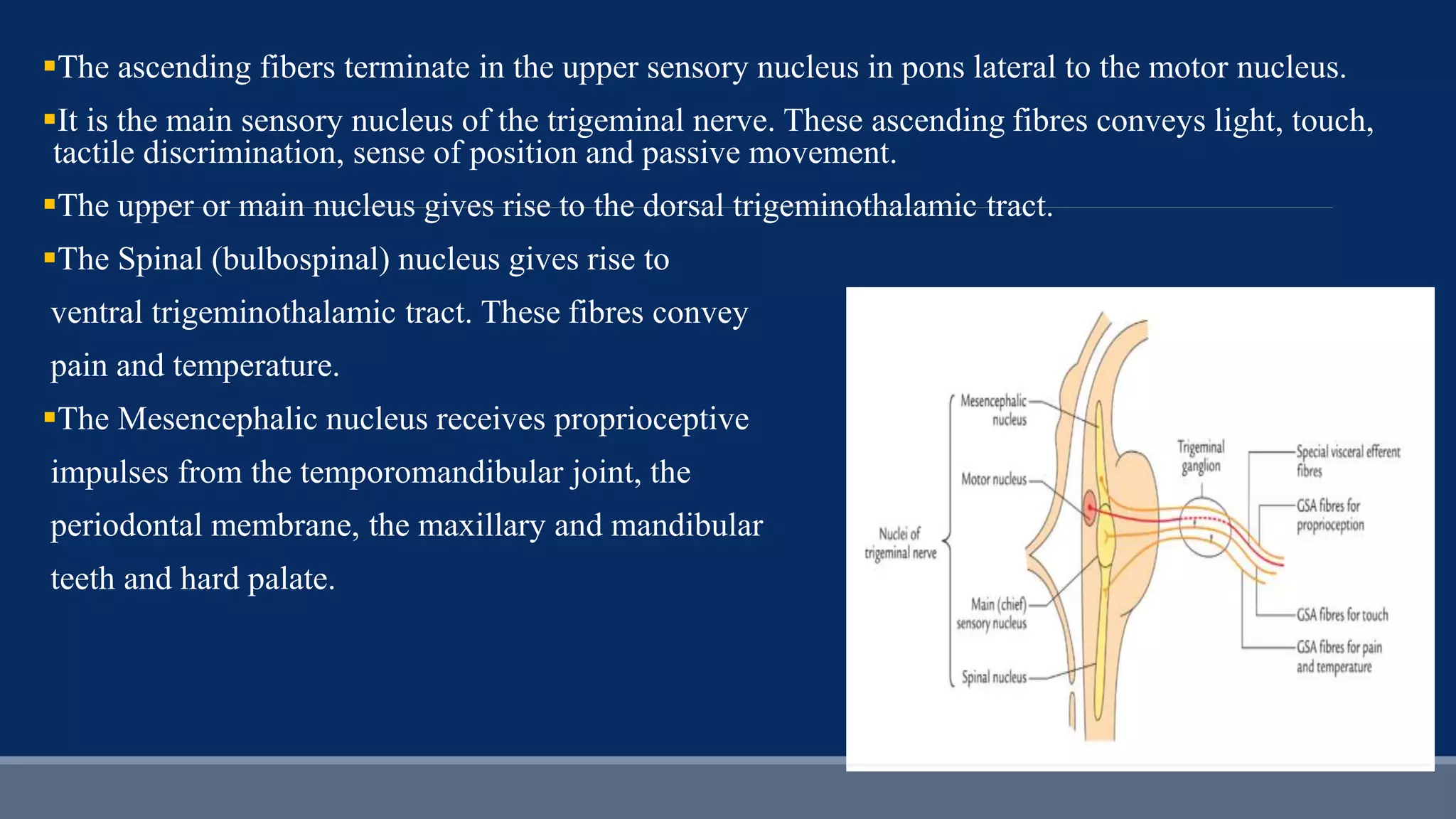 TRIGEMINAL NERVE AR.pptx